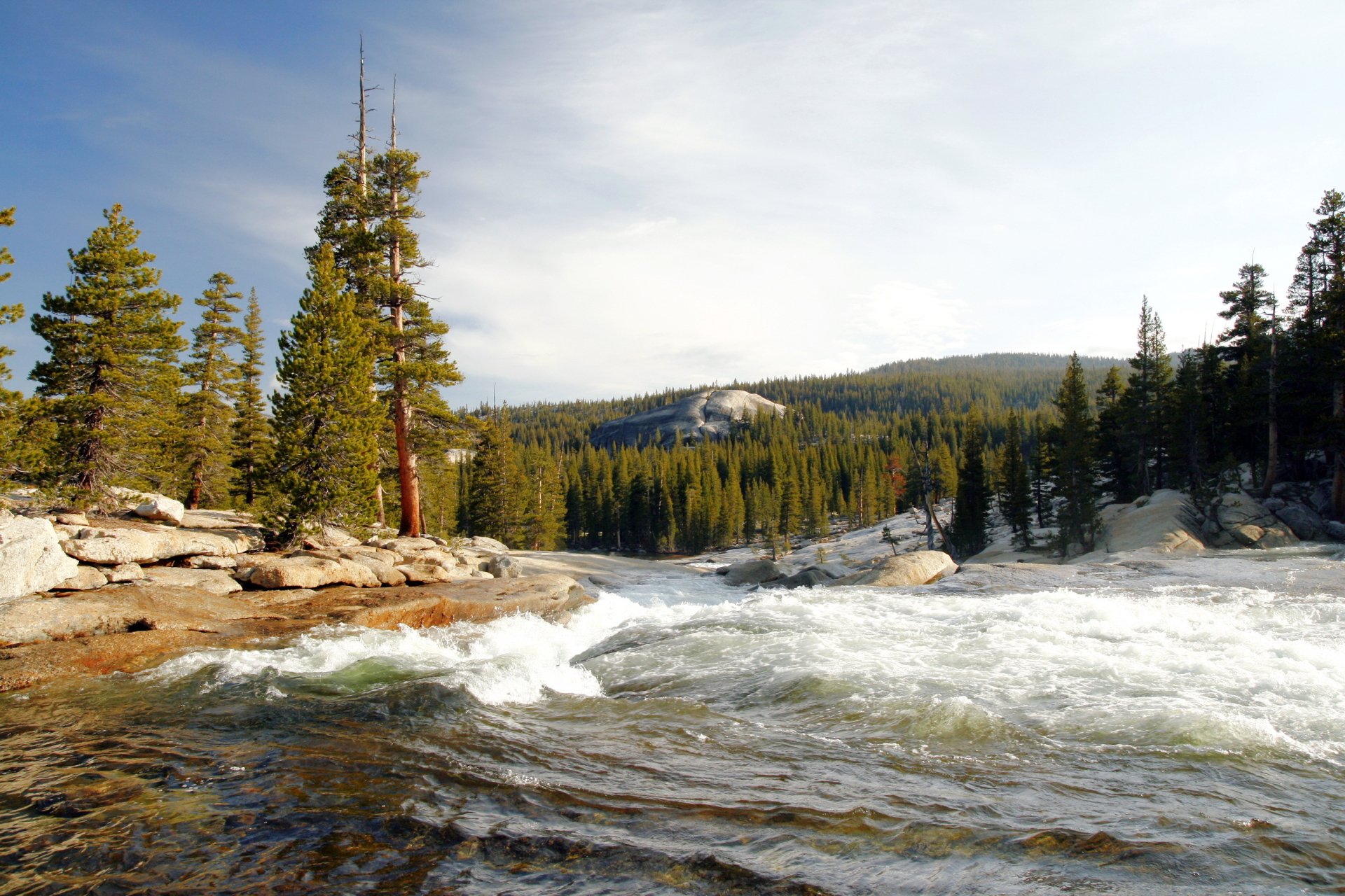 Yosemite River Flow: Stunning California Forest Landscape HD Wallpaper ...