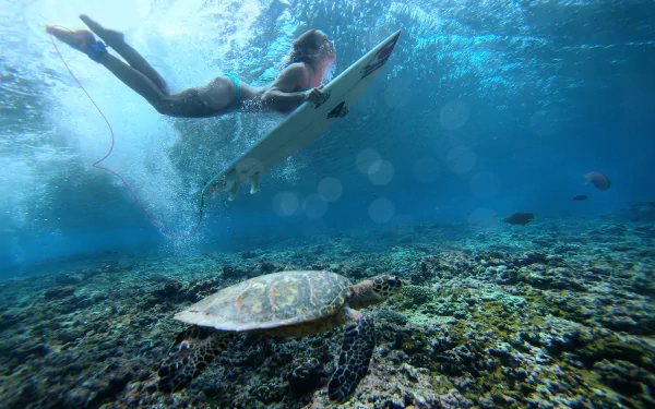 Surfer's Dream: Stunning HD Wallpaper of Sunset Waves