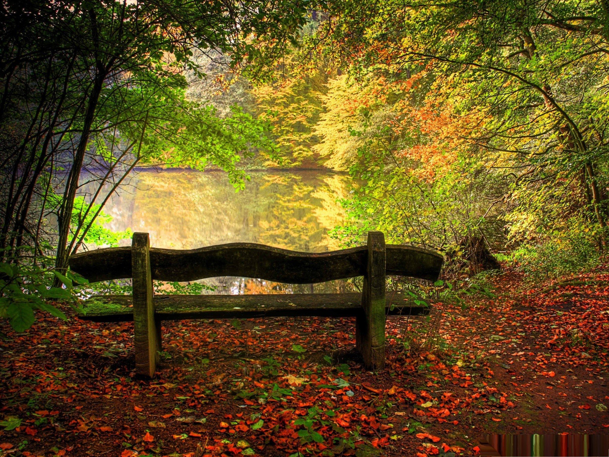 Download Man Made Bench HD Wallpaper