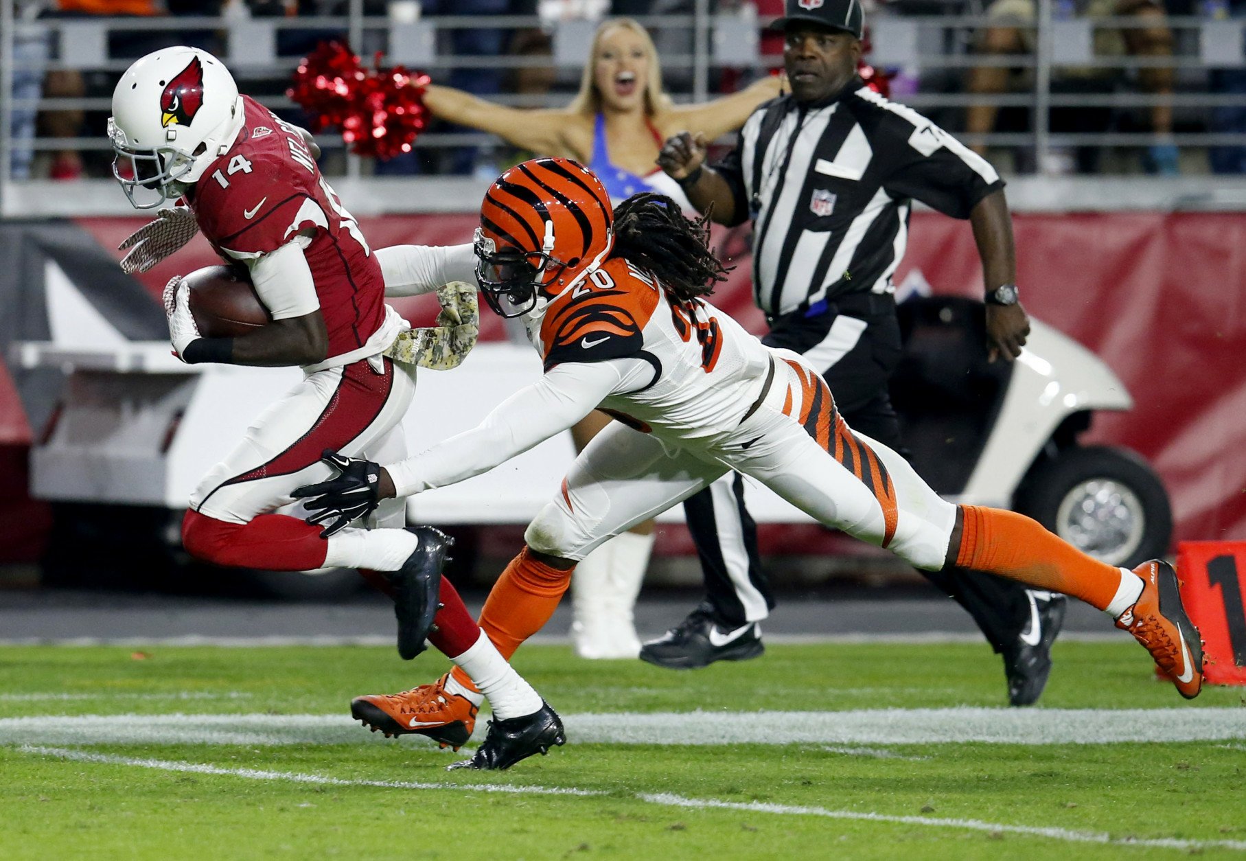 Download Arizona Cardinals Sports Wallpaper