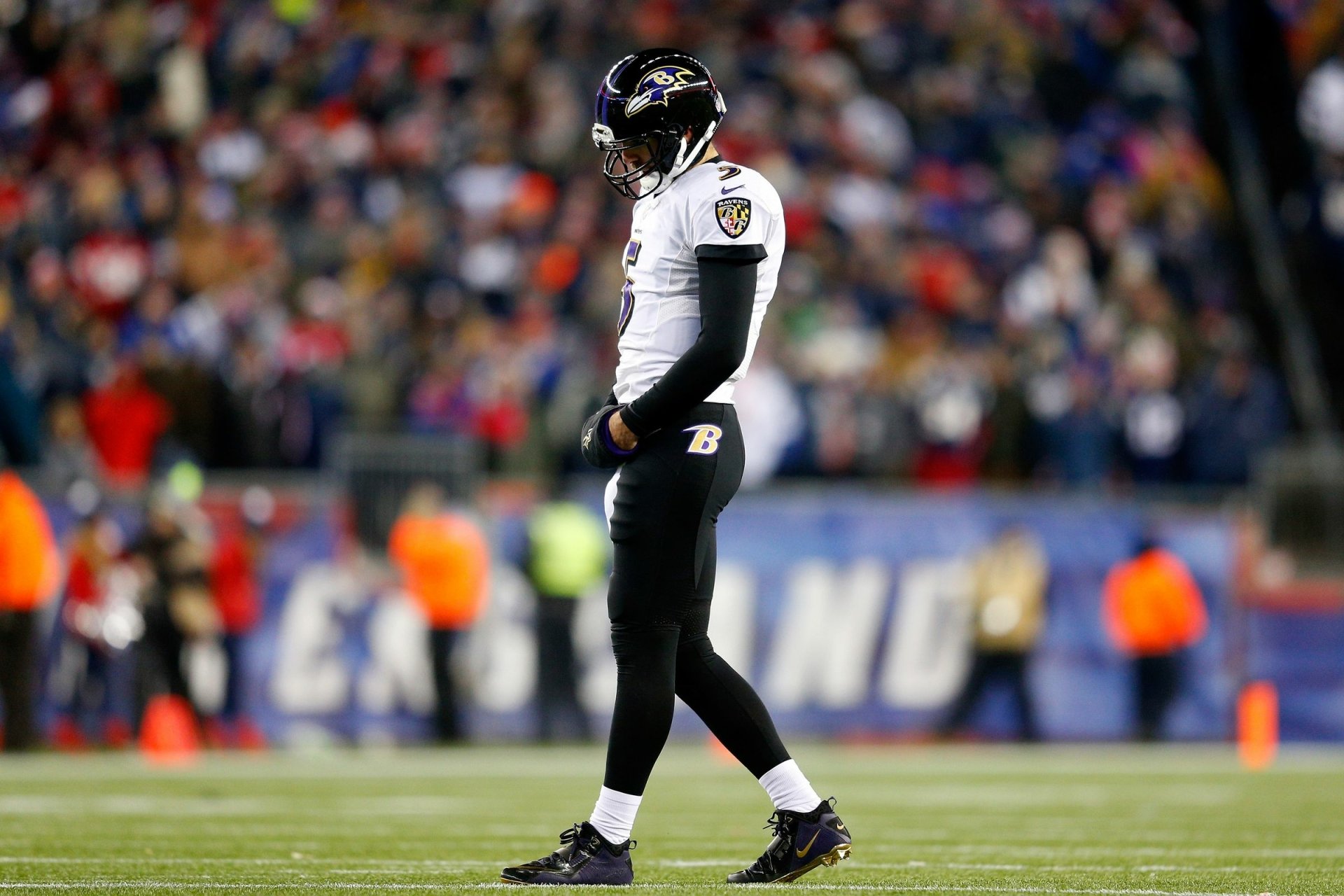 Baltimore Ravens HD Wallpaper