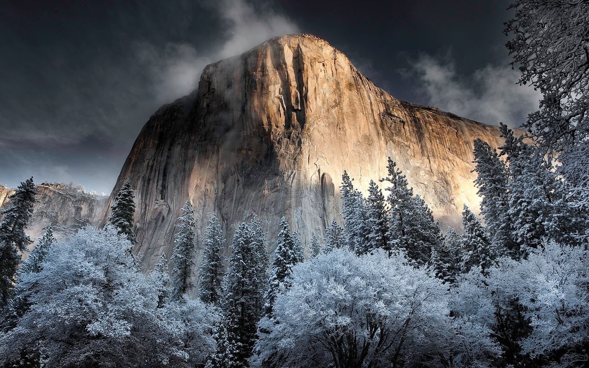 Winter Majesty: Frosted Trees and Cliffside Glory in HD Nature ...