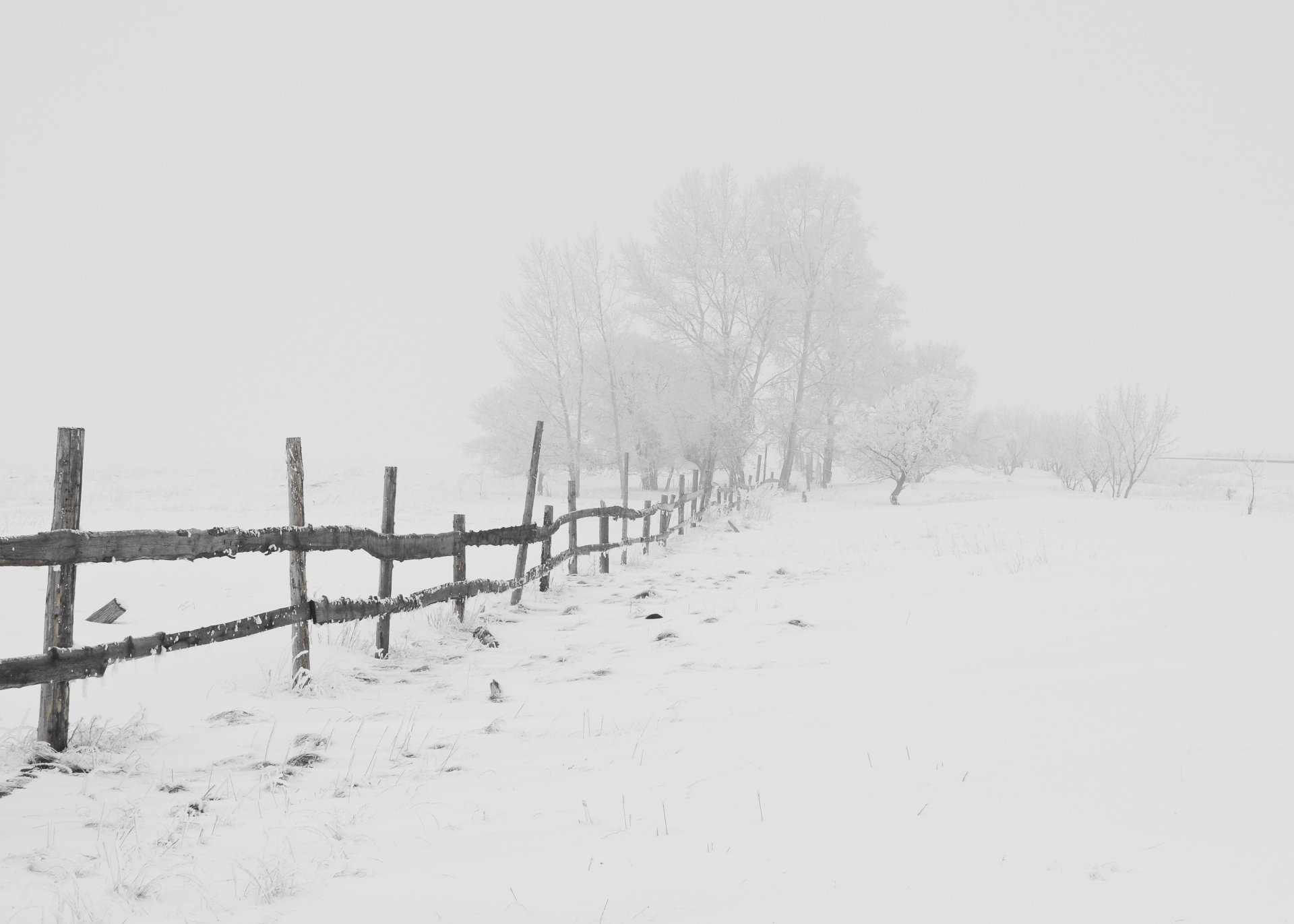 Download Tree Snow Fence Nature Photography Winter HD Wallpaper by ...