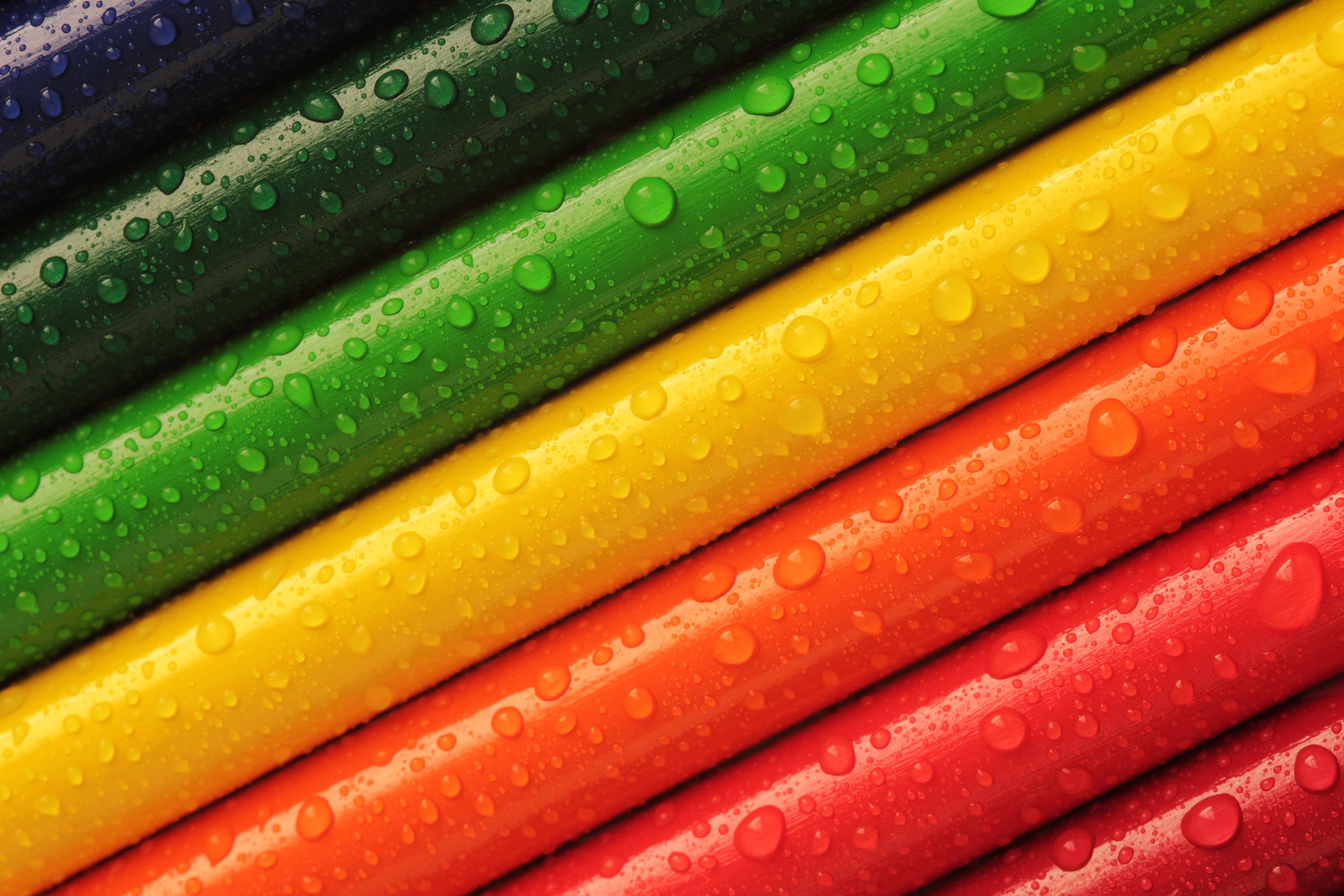 Vibrant Rainbow Pencils with Dew Drops | 4K Ultra HD Close-Up Wallpaper
