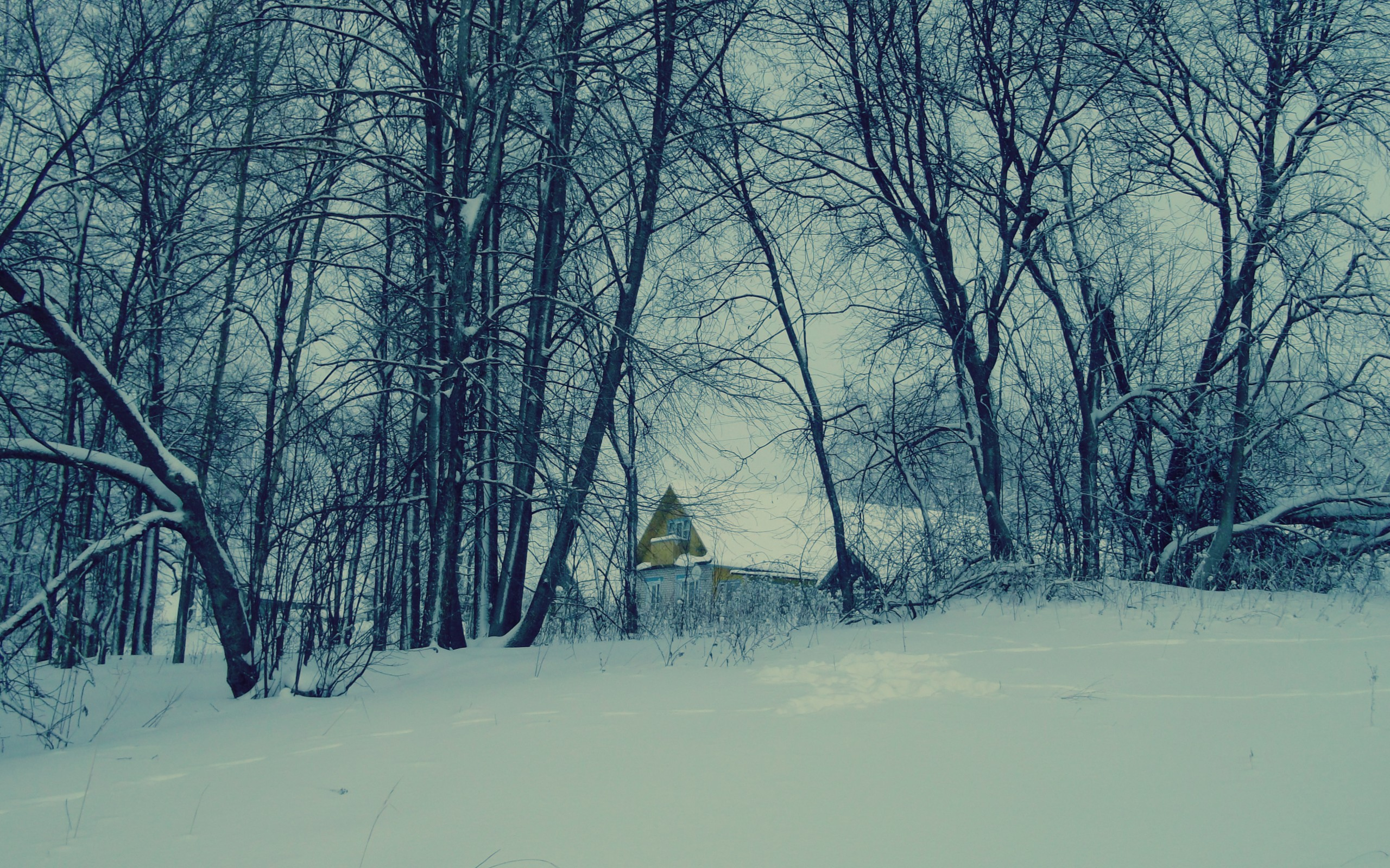 Download Tree House Snow Photography Winter HD Wallpaper