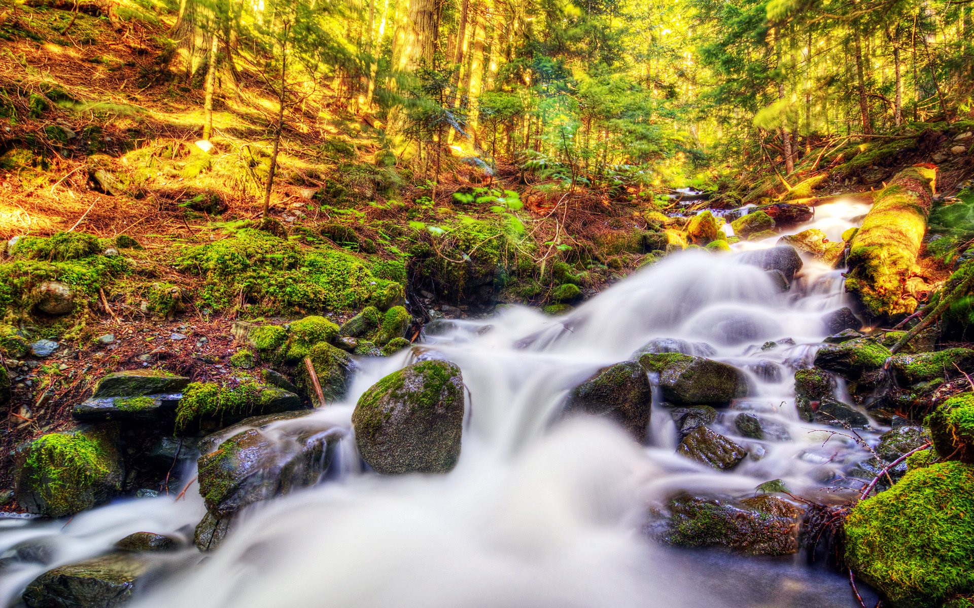 Nature Stream HD Wallpaper