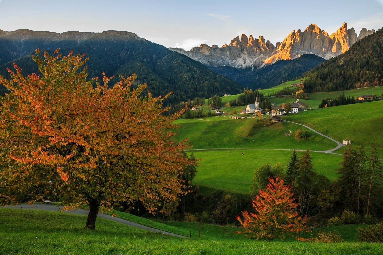 Download Fall Church Tree Mountain Village Photography Landscape ...