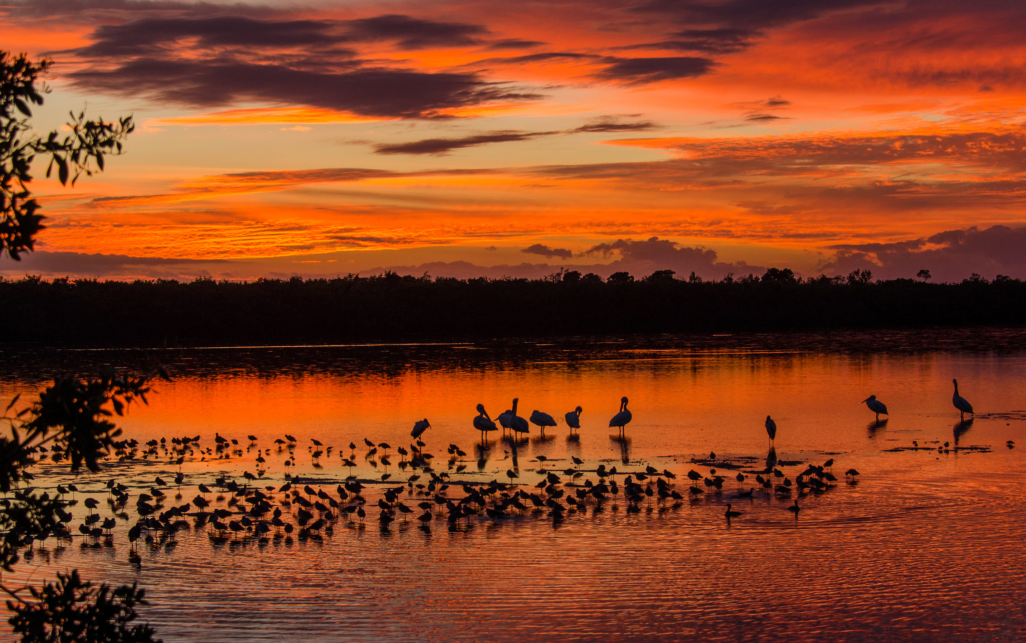Nature Sunset HD Wallpaper