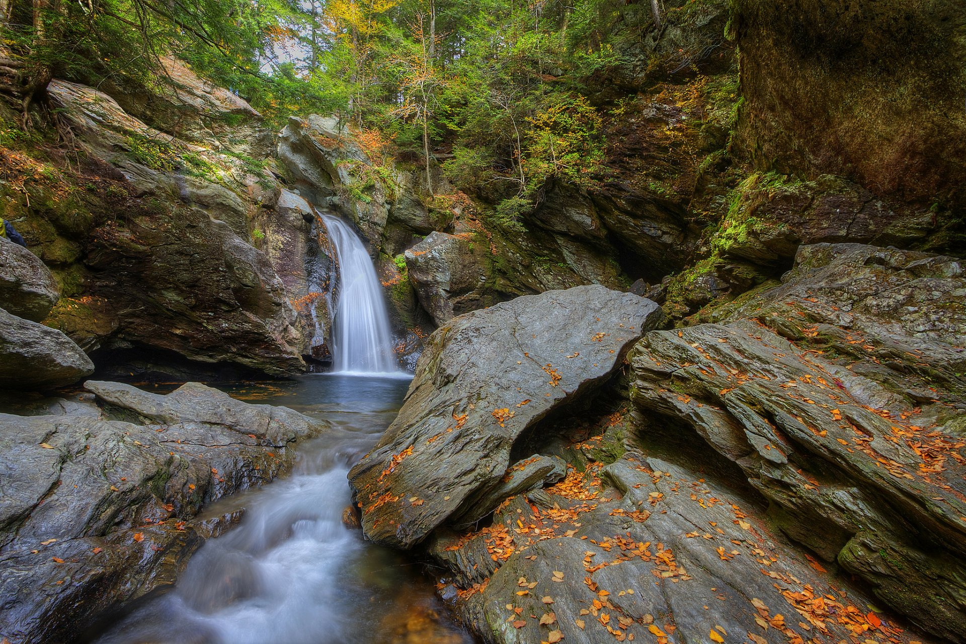 Download Fall Leaf Nature Stream Waterfall HD Wallpaper