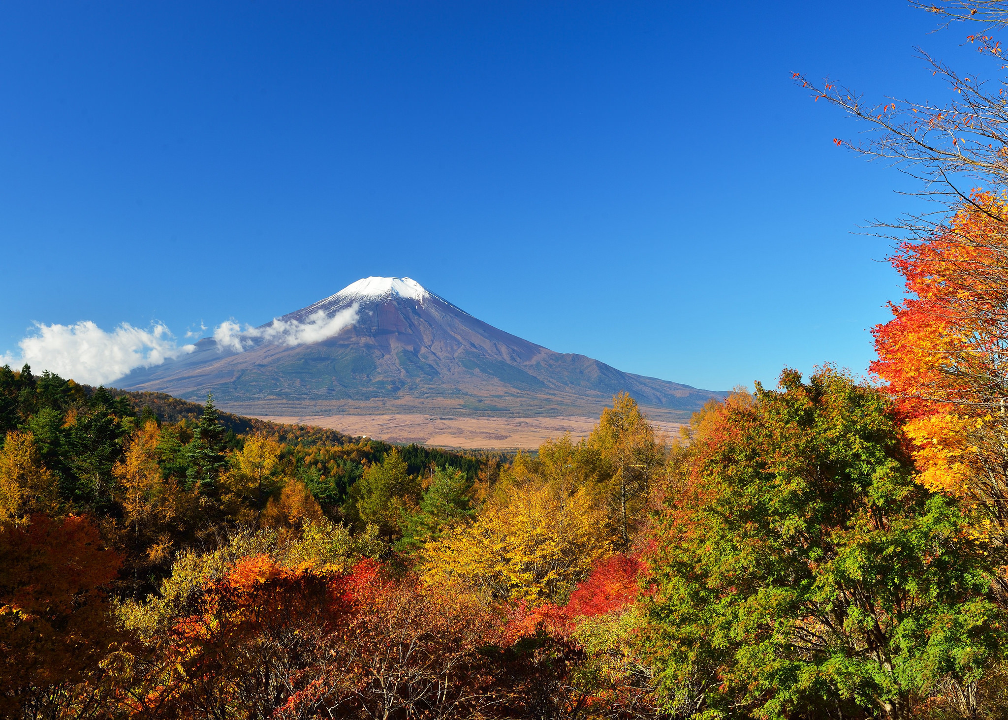 Autumn Serenity: Mount Fuji Amidst Japan’s Vibrant Fall Foliage HD ...