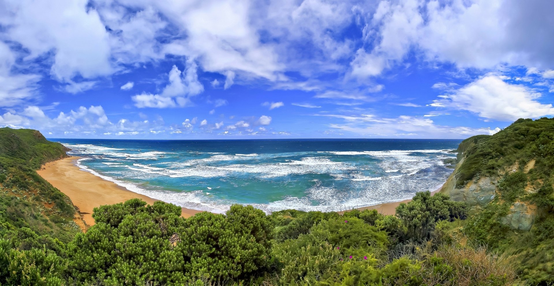 Download Horizon Nature Forest Tree Ocean Australia Beach Coastline HD ...