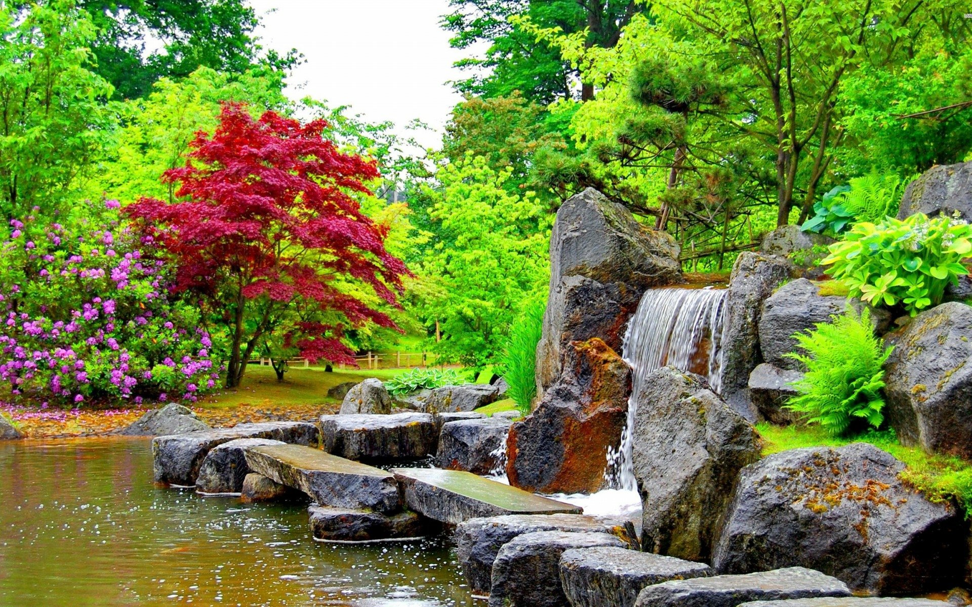 Vibrant Spring Garden HD Wallpaper