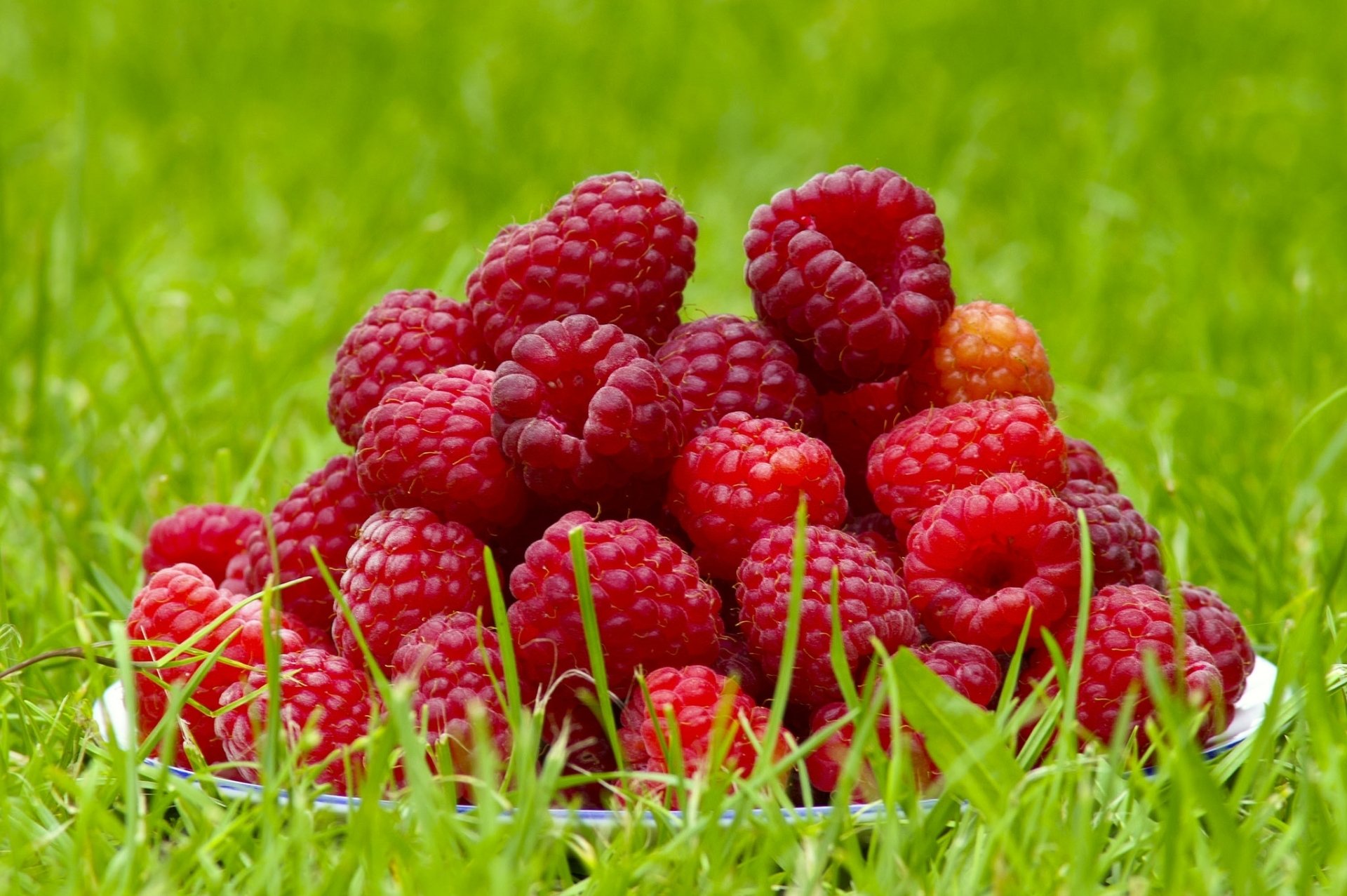 Download Close-up Grass Summer Berry Food Raspberry HD Wallpaper