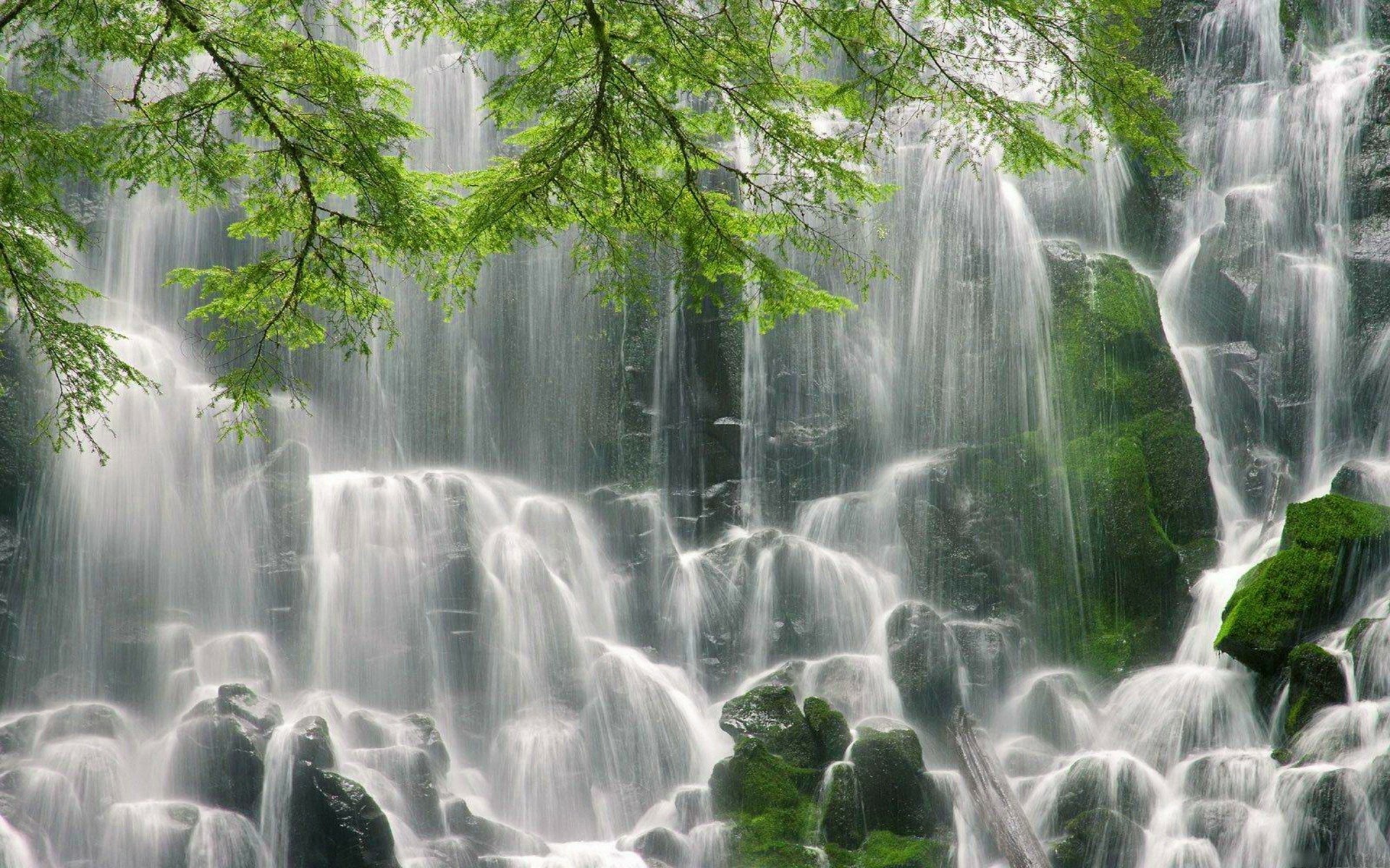Download Moss Green Mountain Nature Waterfall HD Wallpaper