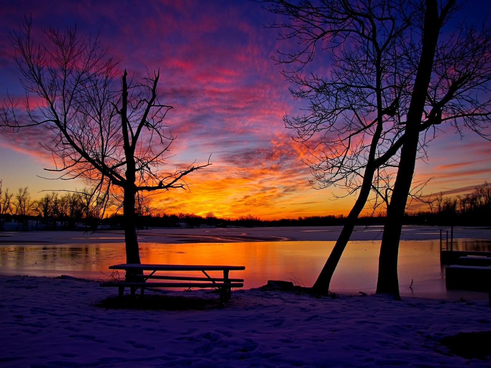 Download Silhouette Tree Bench Lake Earth Photography Sunset Wallpaper