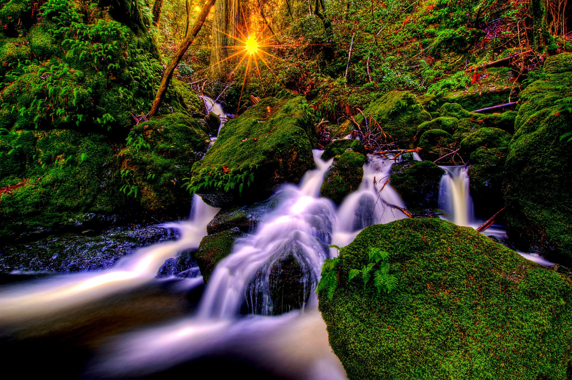 Emerald Sunbeam Falls — 2K Quad HD Forest Wallpaper