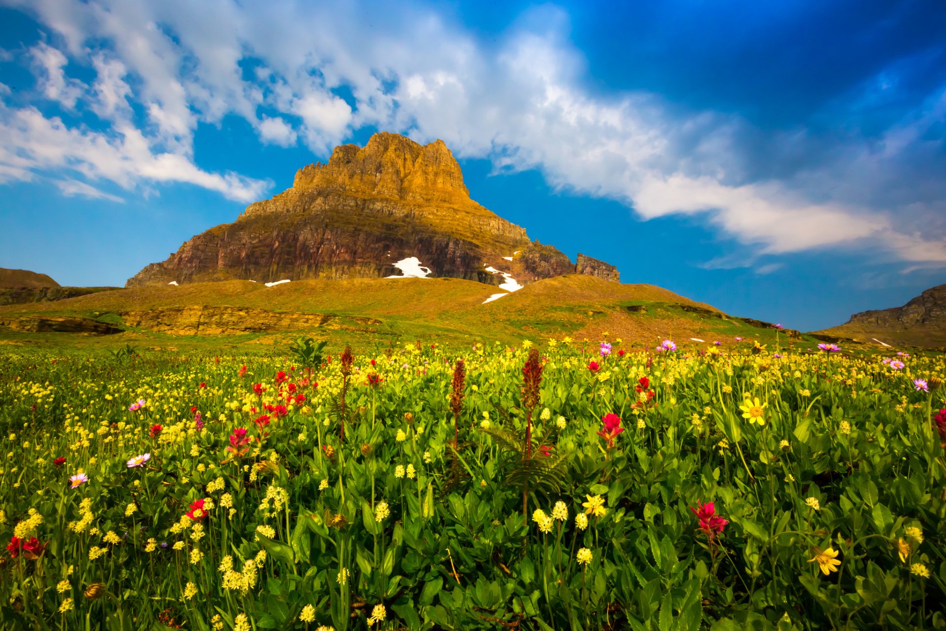 Spring Wildflower Meadow at Mountain Peak — HD Wallpaper