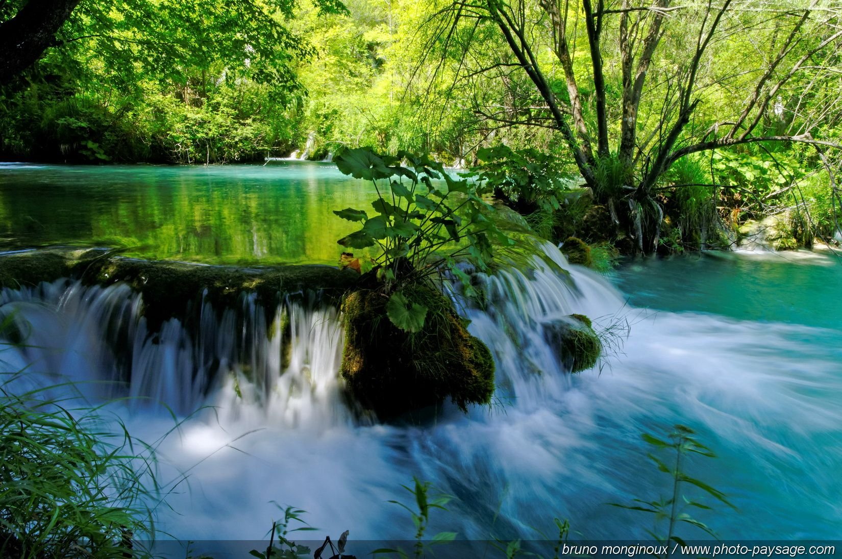 Download Green Tree Turquoise Tropical Forest Nature Waterfall Wallpaper