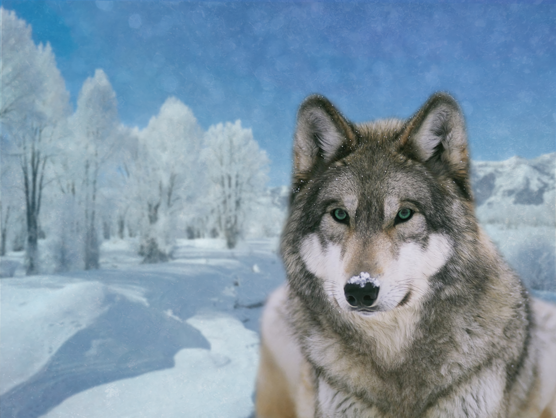 Download Snow Tree Winter Close-up Animal Wolf HD Wallpaper