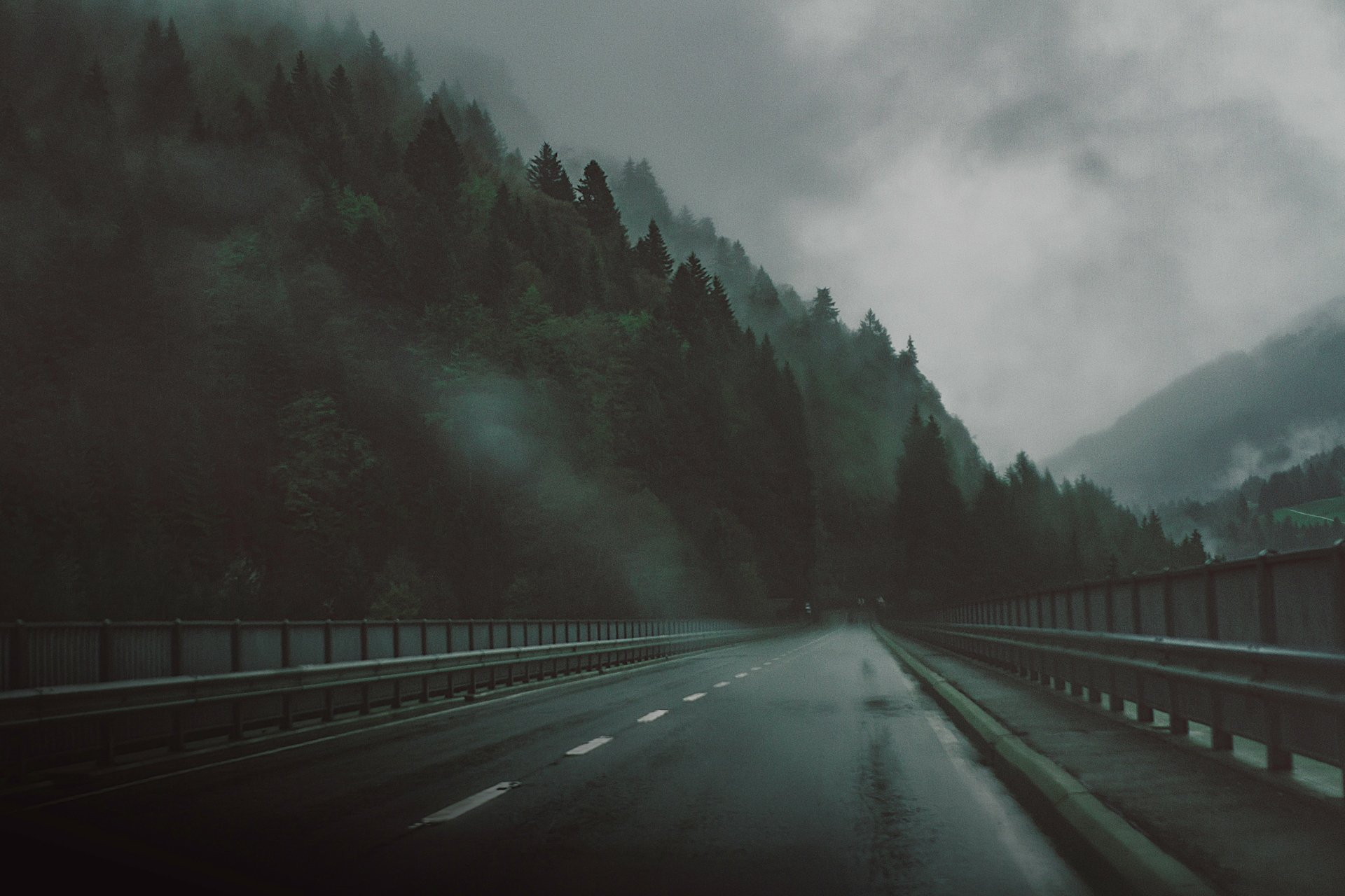 Misty Highway Through Towering Trees | 4K Ultra HD Roadscape Wallpaper