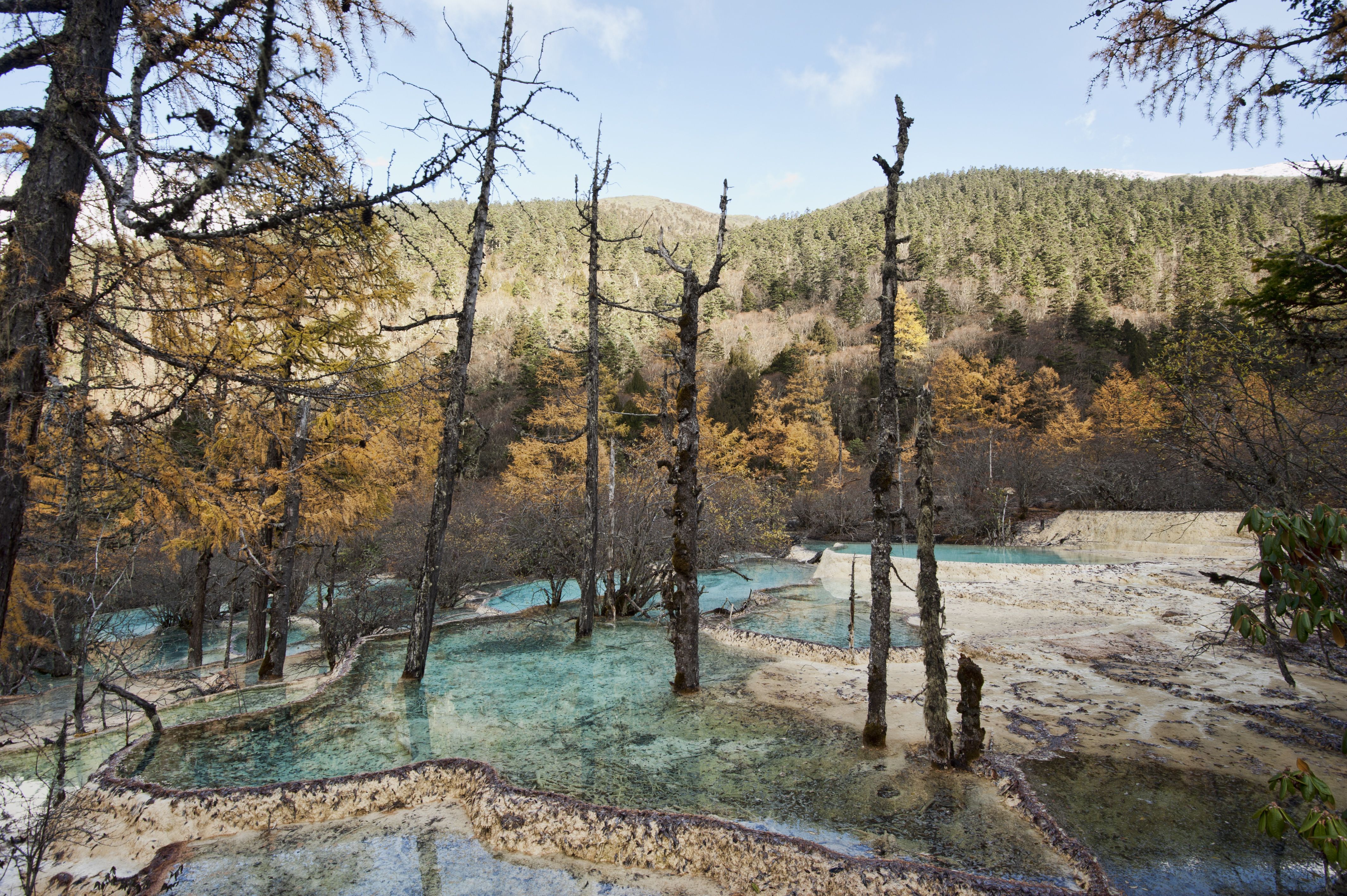 4K Ultra HD Nature's Serenity: Crystal Waters Amidst Tranquil Forest