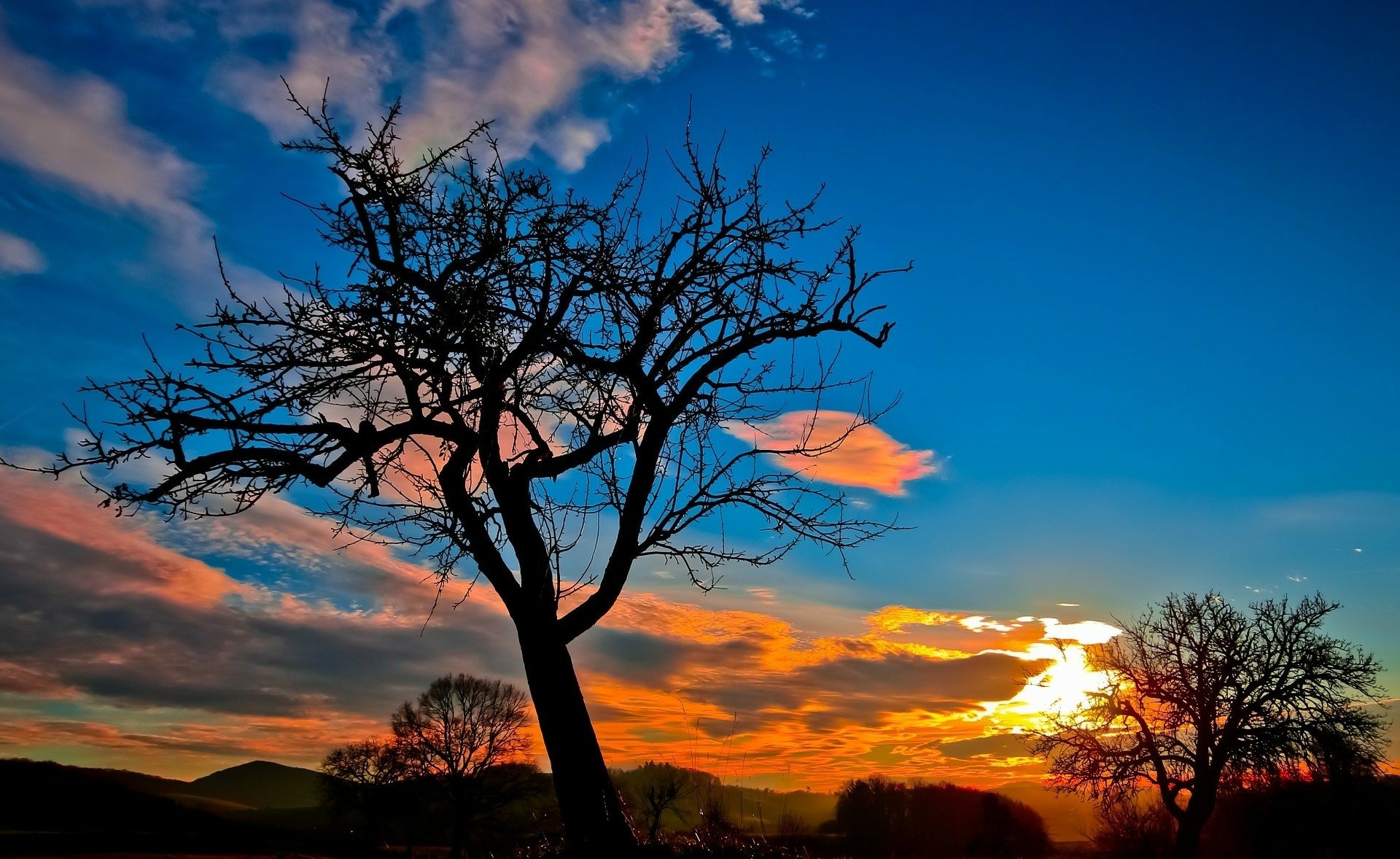 Download Silhouette Sunset Nature Tree HD Wallpaper