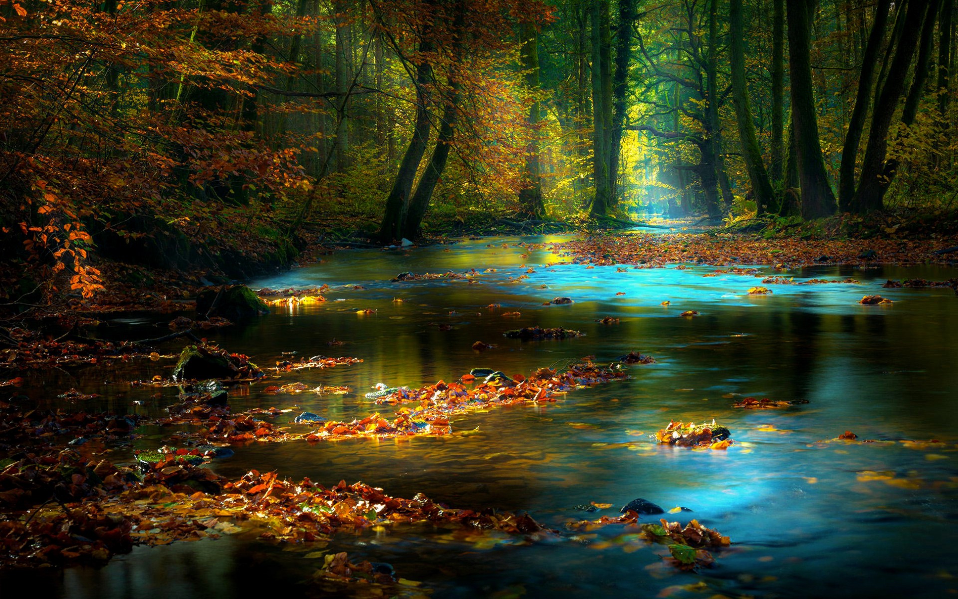 Autumn Serenity: HD Wallpaper of a Tranquil Forest Stream