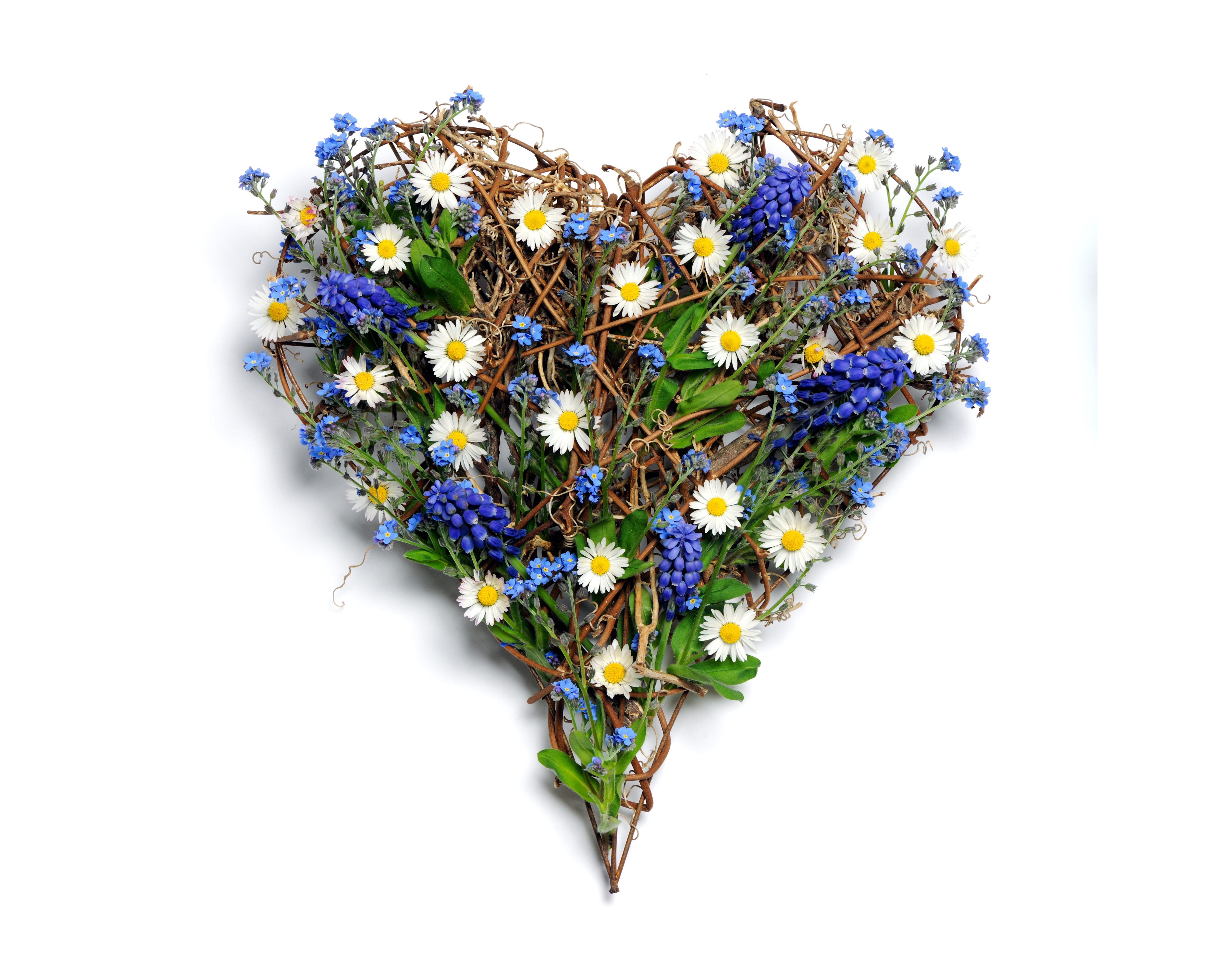 Flower Heart 4k Ultra HD Wallpaper | Background Image | 5000x4000 | ID ...