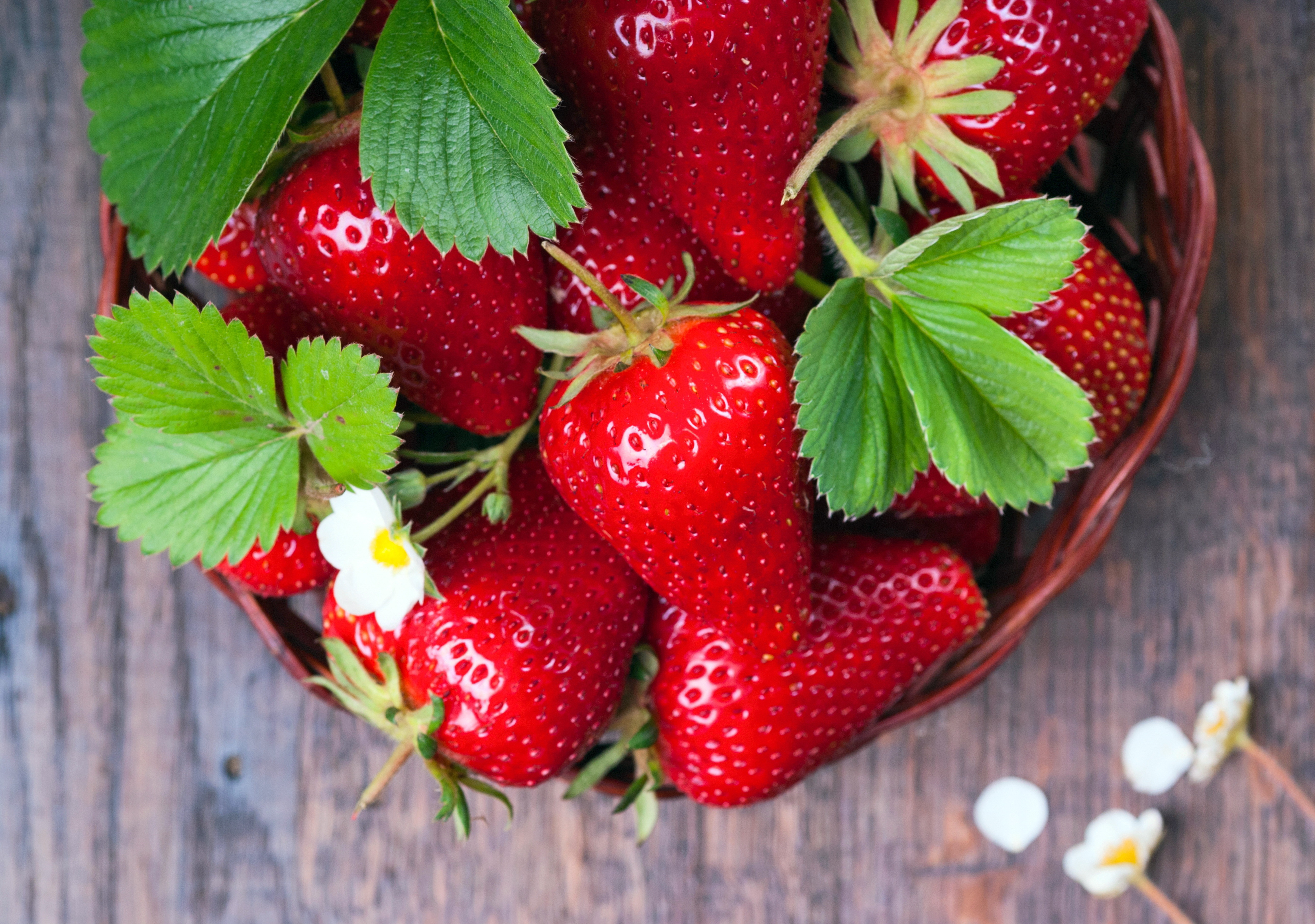 Download Fruit Berry Food Strawberry 4k Ultra HD Wallpaper