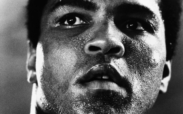 Muhammad Ali Wallpapers