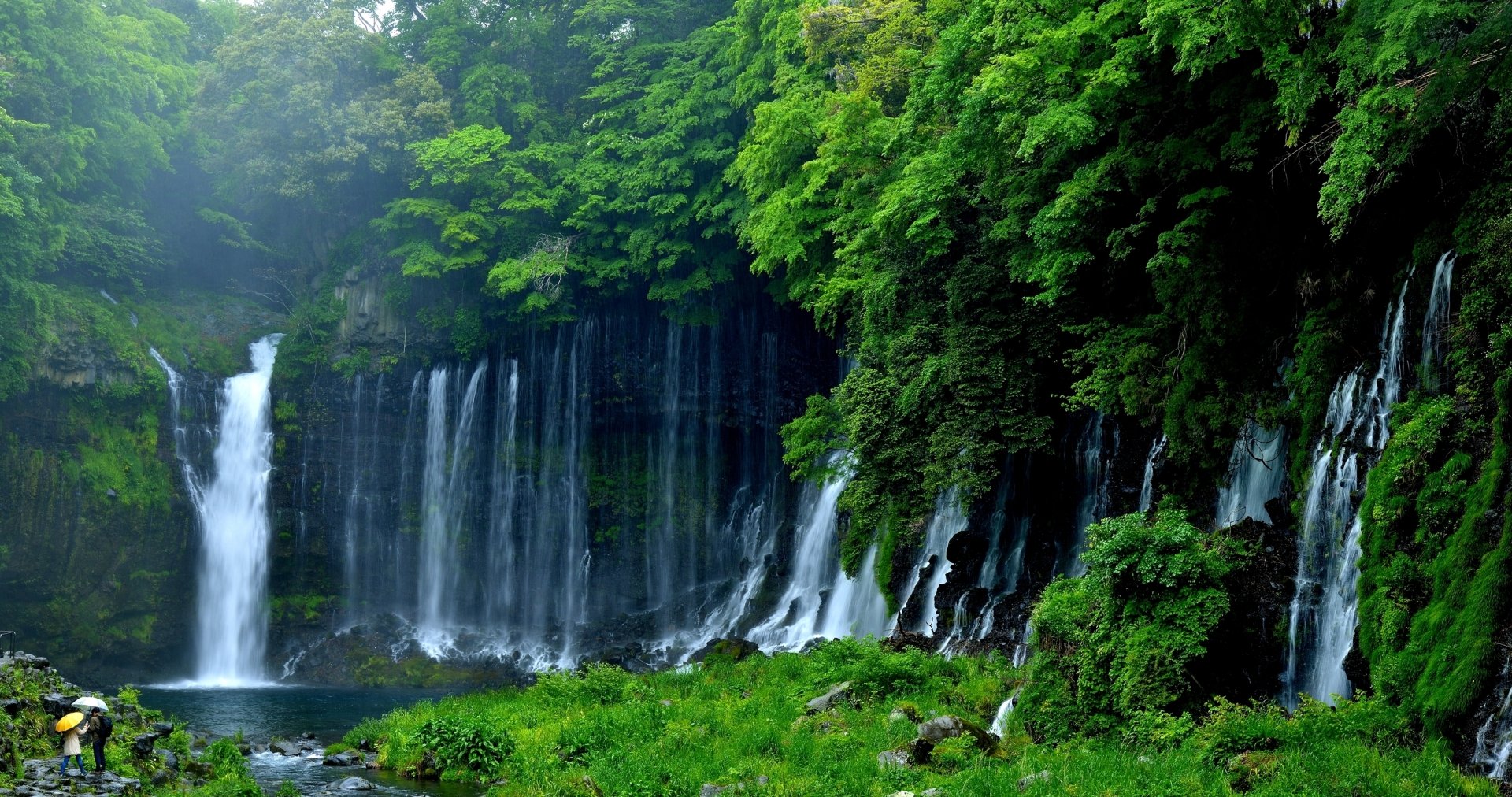 Download Forest Tree Green Nature Waterfall HD Wallpaper