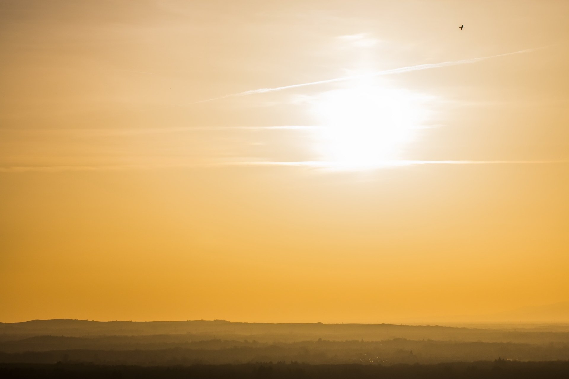 Download Horizon Sun Sky Yellow Nature Landscape HD Wallpaper