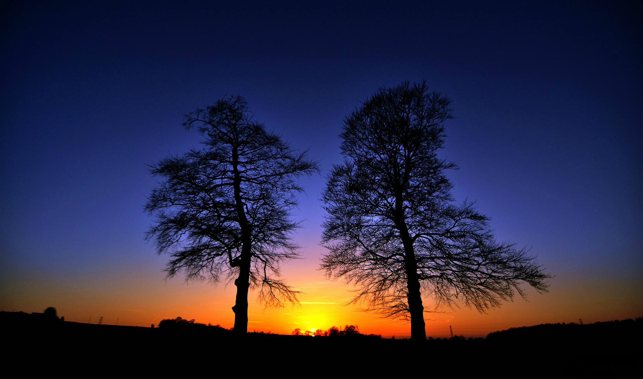 Trees Sunrise Wallpaper
