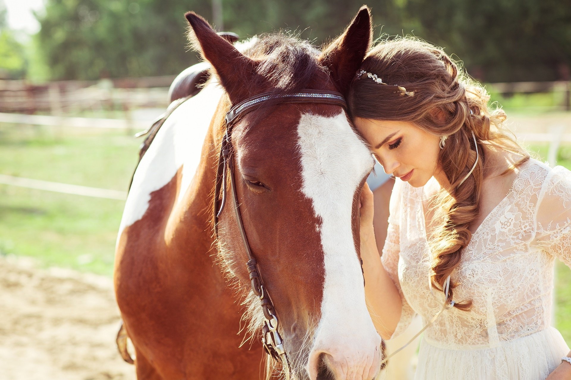 Download Sunny Mood White Dress Brunette Horse Woman Model HD Wallpaper