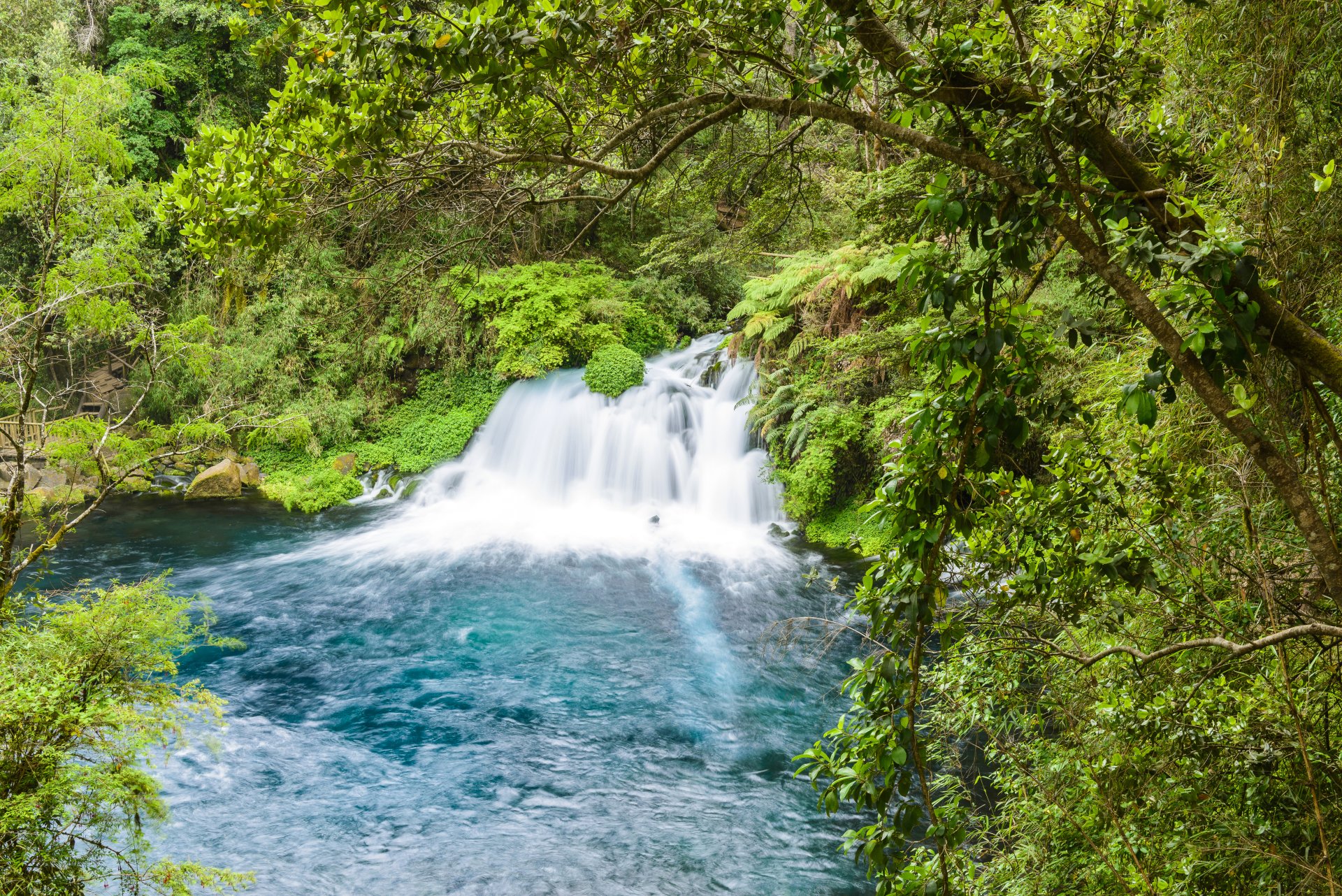 4K Ultra HD Green Forest Waterfall – Nature's Pure Cascade | 5264x3514 ...