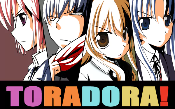 HD Wallpaper: Toradora! Anime Character Focus