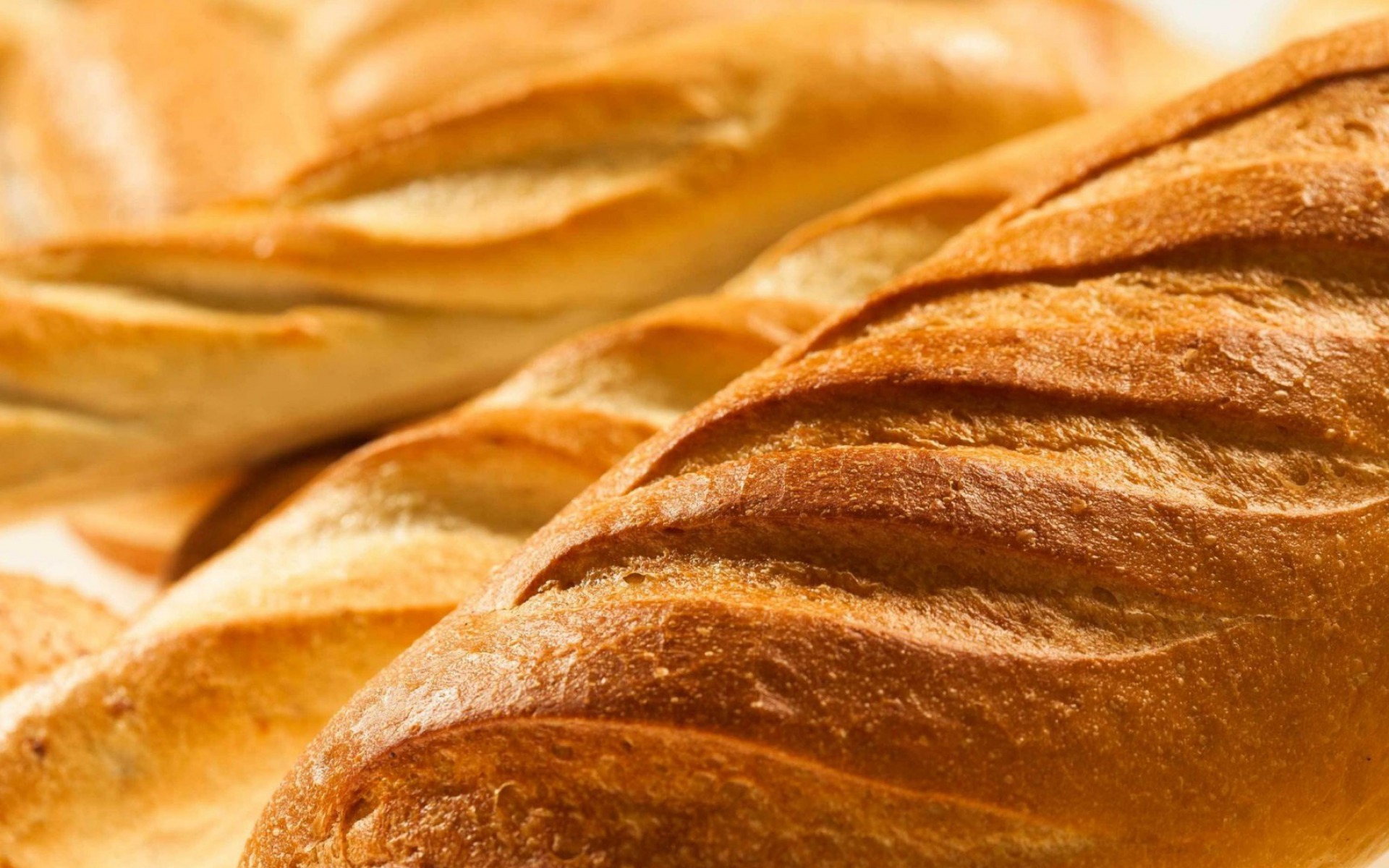 Download Food Bread HD Wallpaper