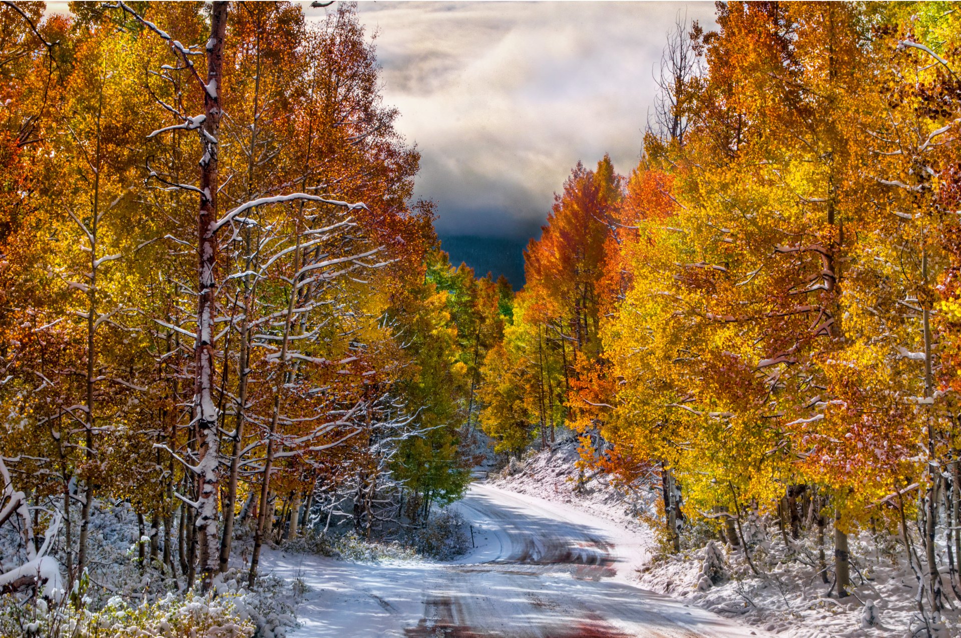 4K Ultra HD Fall Roadway: Snow-Kissed Autumn Trees