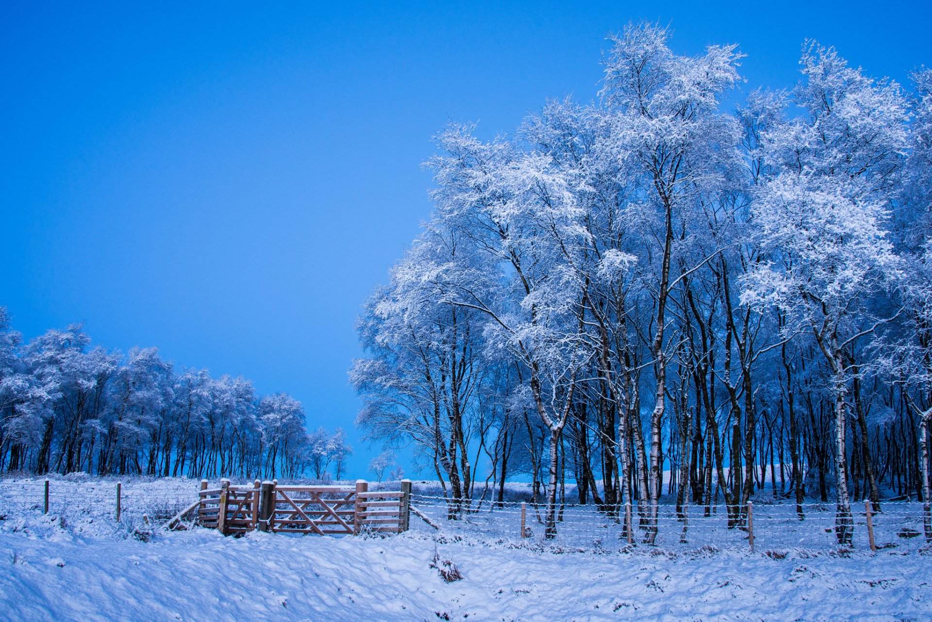 Winter Earth Wallpaper