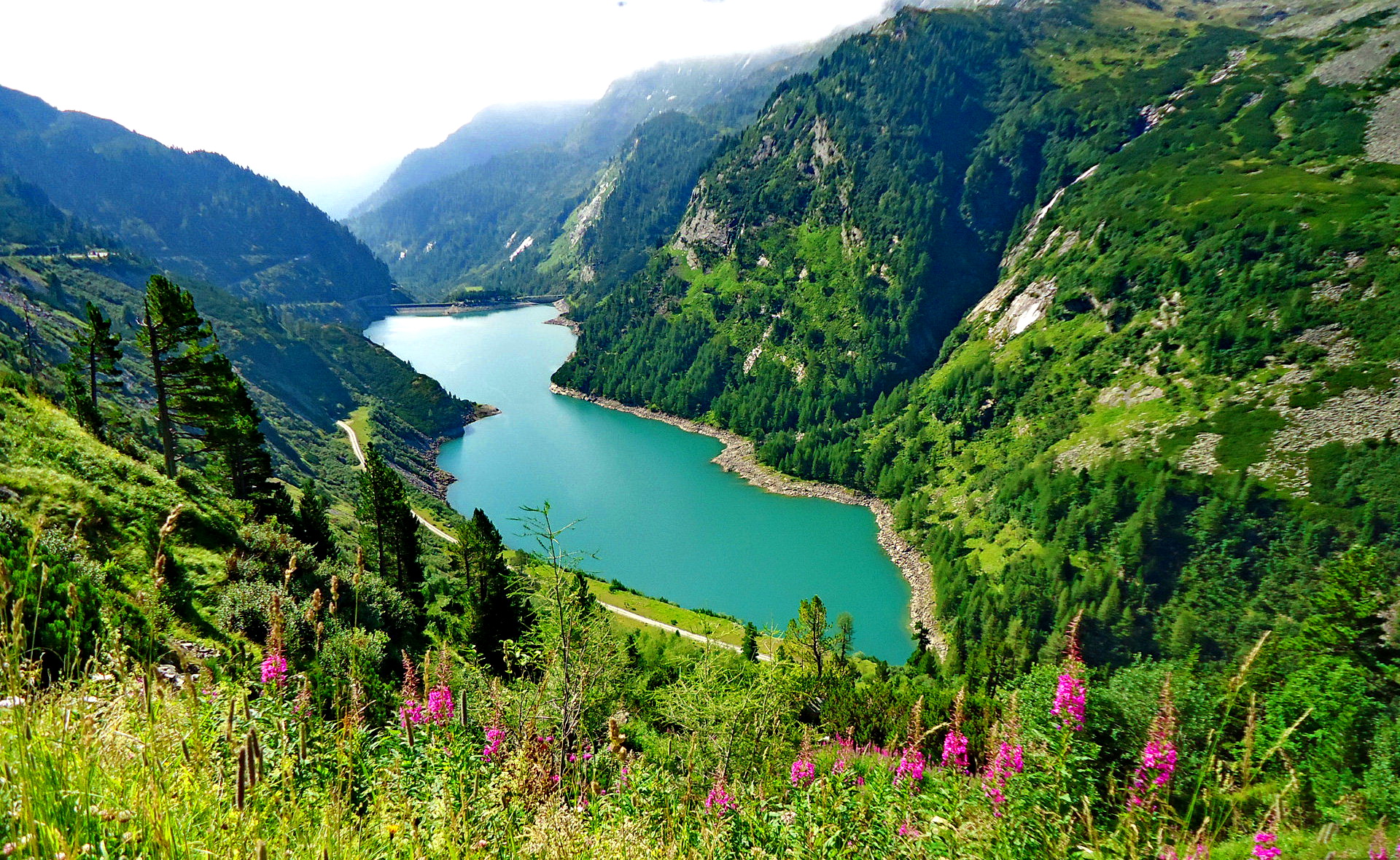 Download Forest Tree Flower Landscape Mountain Nature Lake HD Wallpaper