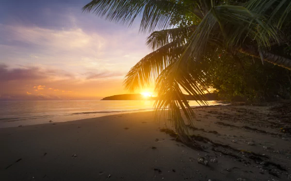 [30+] Ocean 8k Wallpapers