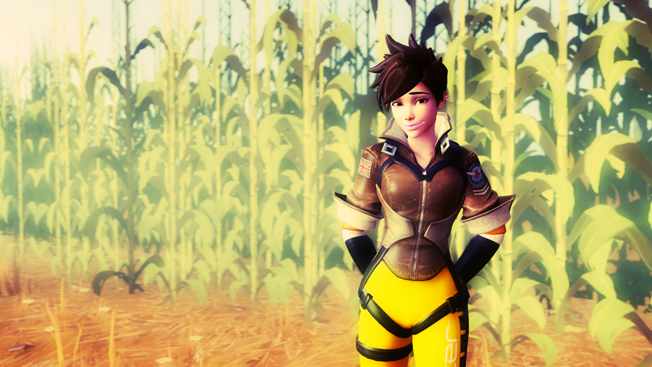 Overwatch Tracker Wallpaper