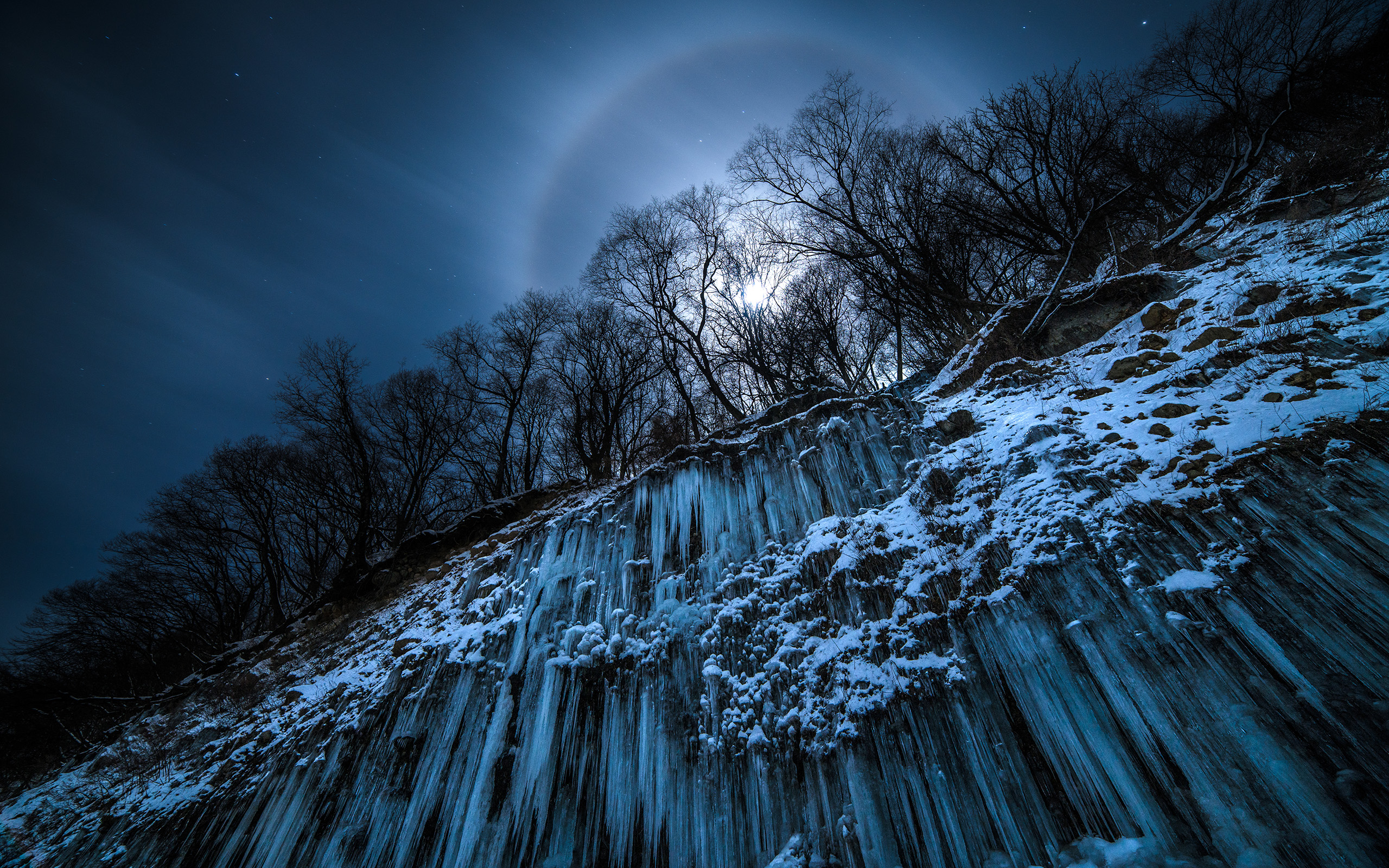 Download Night Cliff Tree Snow Ice Nature Winter Winter Night HD Wallpaper