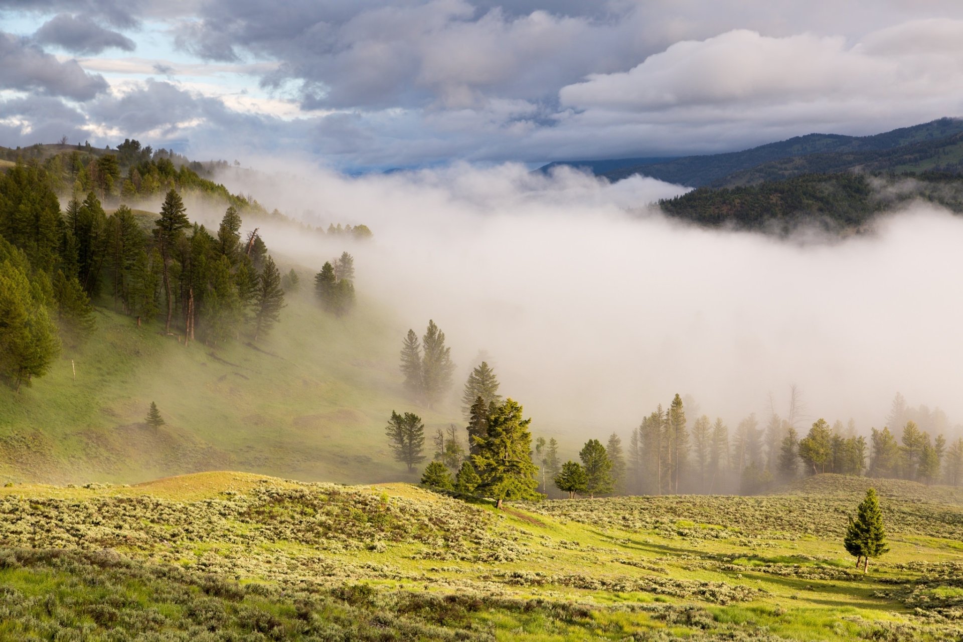 Download Fog Nature Landscape HD Wallpaper | 2048x1365 | Wallpaper Abyss