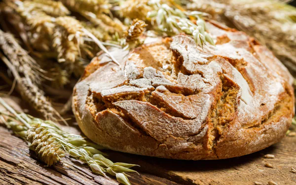 [190+] Bread 4k Wallpapers