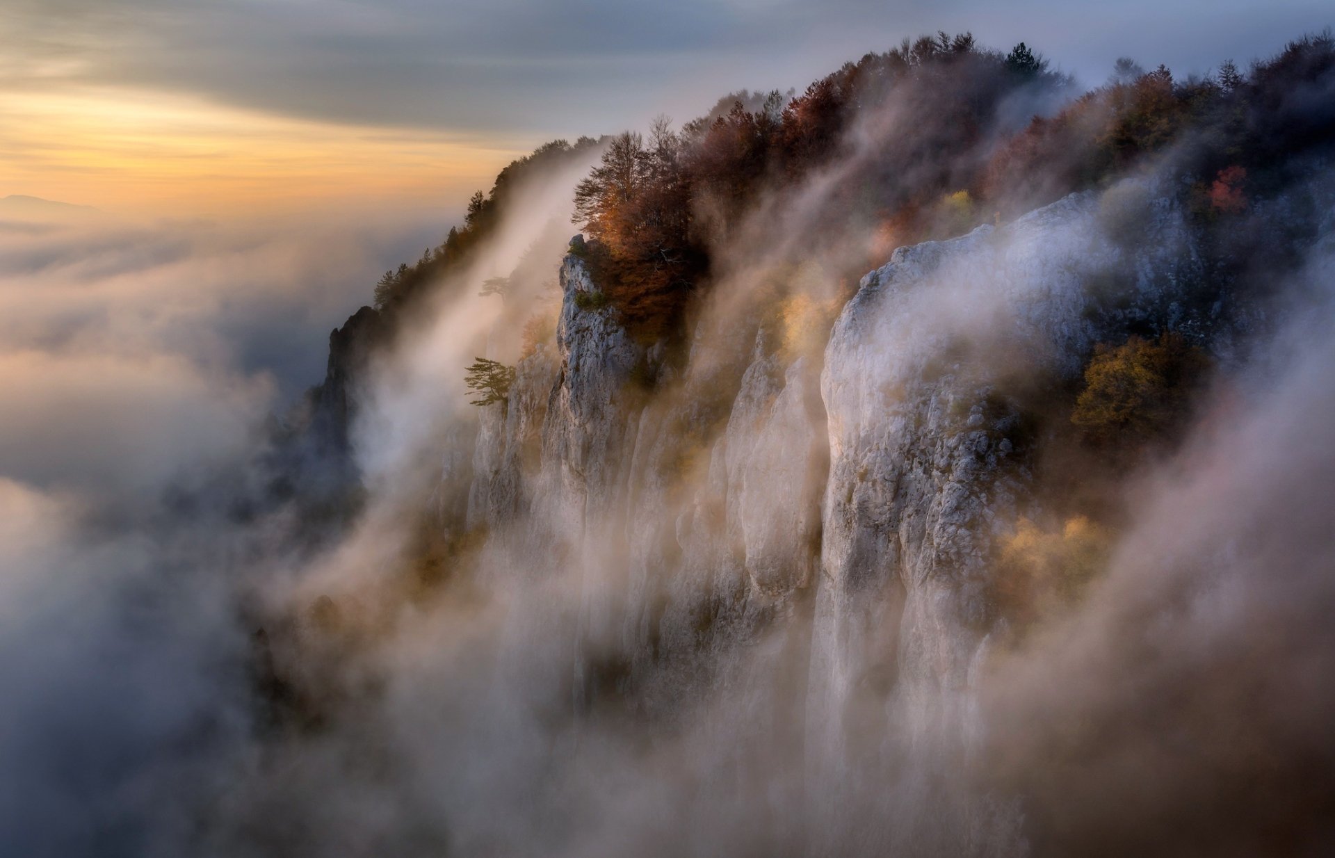 Misty Cliffscape: HD Nature’s Foggy Embrace