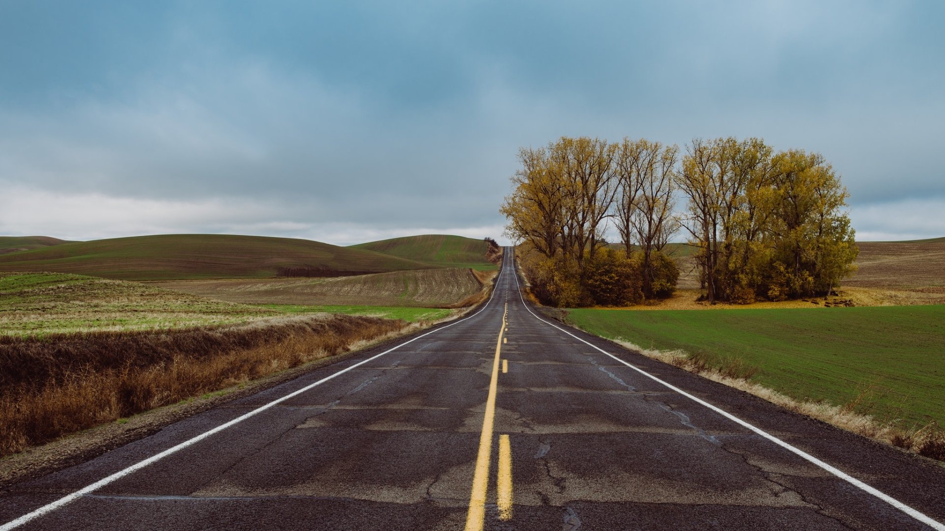 Download Hill Tree Landscape Nature Man Made Road HD Wallpaper ...