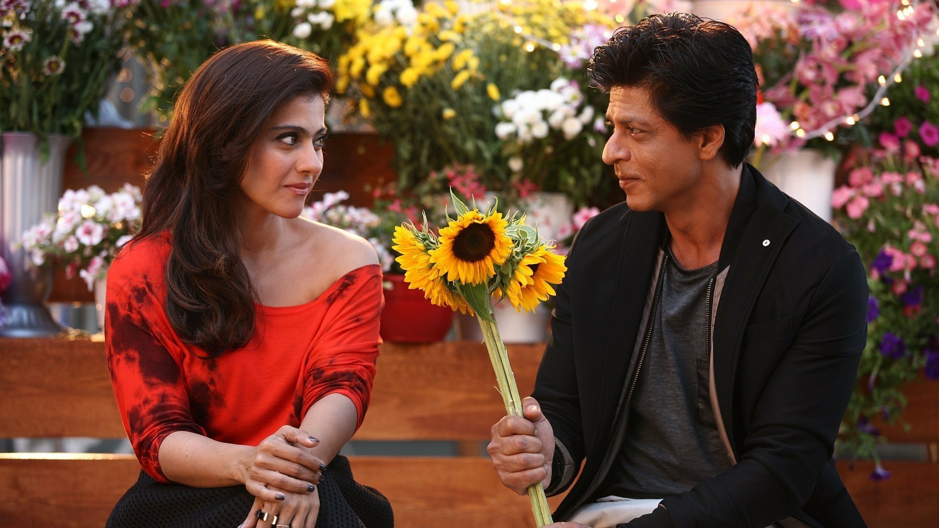 Download Movie Dilwale HD Wallpaper