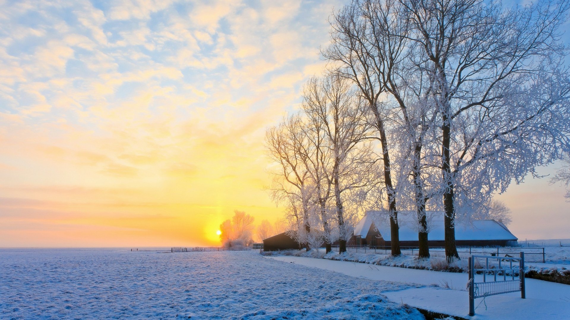 Download Horizon Sunset Snow Tree Field Earth Photography Winter HD ...