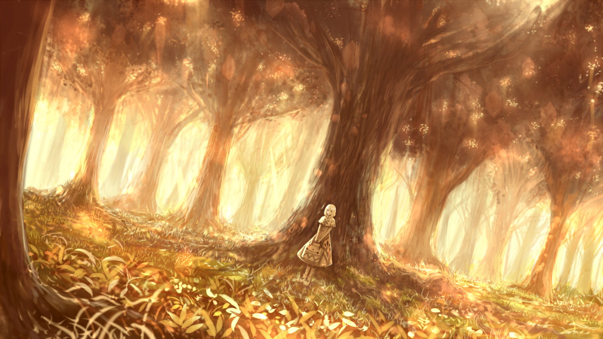 Download Anime Forest Anime Forest HD Wallpaper by 防人